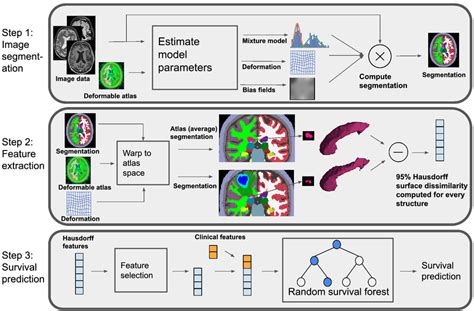 From Mr Images To Survival Prediction In Three Steps Segmentation Download Scientific Diagram