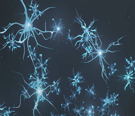 reasonfield lab custom machine learning solutions