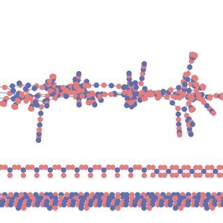 Lifetime Sexual Partners LSP Network With Nodes Pink Dots Are Download Scientific