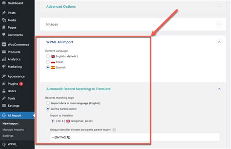 Importing Multiple Languages With Wp All Import And Wpml
