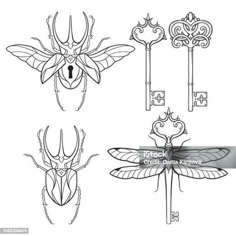 해골 열쇠 벌레 자물쇠 잠자리 세트는 어린이와 성인을 위한 빈티지 스타일의 색칠하기 책 페이지에 손으로 그린 라인 아트 프린트 또는 문신 디자인 벡터 일러스트레이션입니다