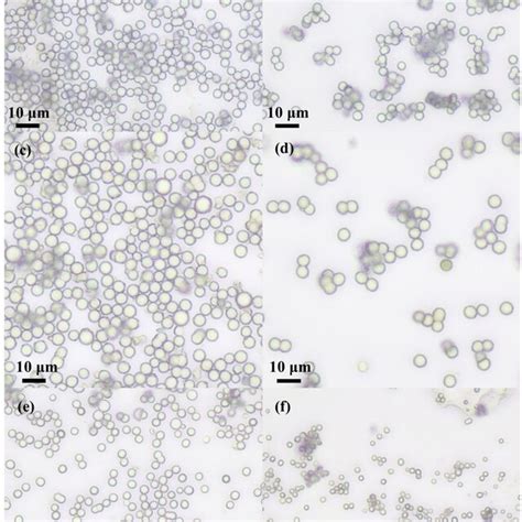 Optical Microscope Photos Of Different Types Of Psms A Psm 1 B Psm 2