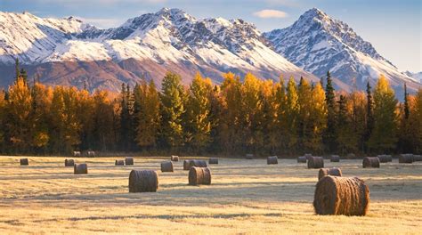 10 Top Things To Do In Palmer May 2024 Expedia