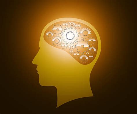 감각과 운동 일러스트 스톡 사진 및 일러스트 Istock