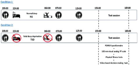 Schematic Illustration Of The Experimental Design Download