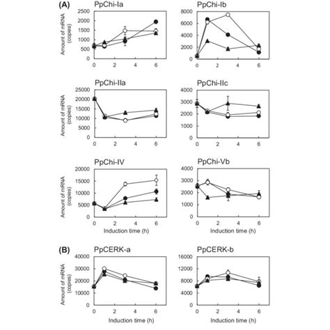 Schematic Representation Of Primary Structure Of Chitinases From P