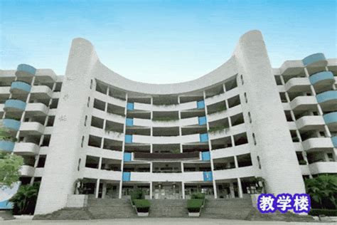 佛山市禅城实验高级中学2020年招生简章 活动