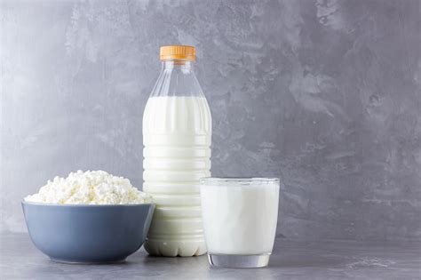 다양한 유제품 회색 배경에 건강한 유제품 우유와 코티지 치즈 복사 공간 건강한 생활방식에 대한 스톡 사진 및 기타 이미지 건강한 생활방식 건강한 식생활 그릇 Istock