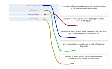 Final Exam Flashcards Quizlet