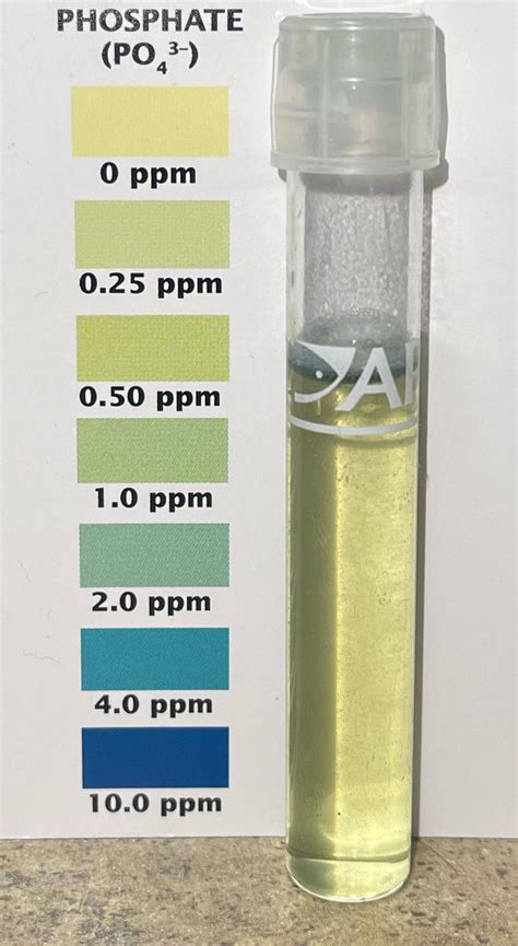 Is This A Good Phosphate Level R Aquariums