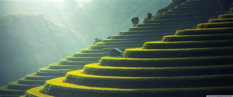 Asian 4k Wallpapers Top Free Asian 4k Backgrounds Wallpaperaccess
