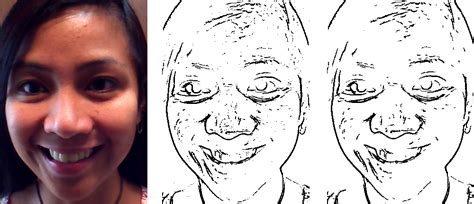 cartoonifier and skin color analysis on the raspberrypi mastering