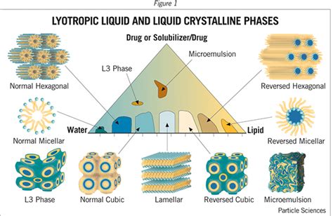 Illustrations Particle Sciences On Behance