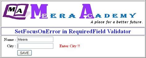 Use Setfocusonerror Property Of Validation Control In Aspnet