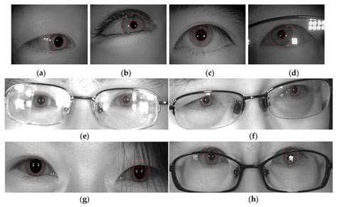 robust iris localization algorithm in non cooperative environments