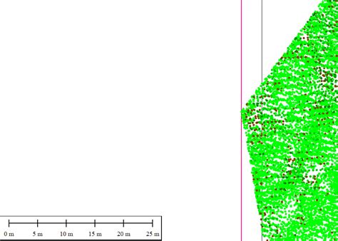 tindex writes polygon with insufficient precision when using fast