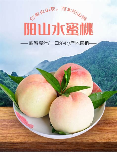水蜜桃子 卡通图片 大山谷图库
