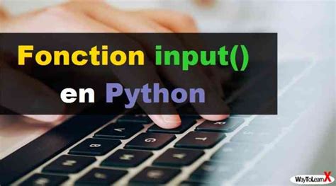 Fonction Input Python Waytolearnx
