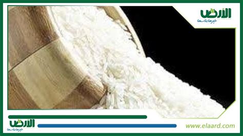 أسعار الأرز اليوم الإثنين 23 يناير الشعير عريض الحبة يسجل 11100