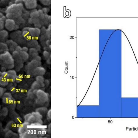 A Sem Image And B Particle Size Distribution Of Synthesized Nha Powder