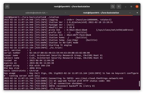 Cannot Connect Ttn Server · Issue 153 · Lorabasics Basicstation · Github