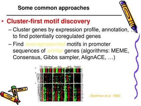 Ppt Transcription Factor Binding Sites And Gene Regulatory Network Powerpoint Presentation