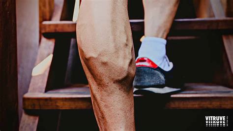 Definición De Los Principales Beneficios De La Flexibilidad Para Los Deportistas Vitruve