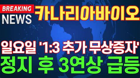 카나리아바이오 일요일 13 추가 무증 카나리아바이오주가전망 카나리아바이오 카나리아바이오전망 카나리아바이오주가