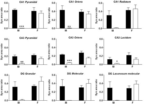 A Maternal Low Protein Diet Results In Sex Specific Differences In