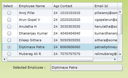 Radio Button Column In Datagrid In Silverlight