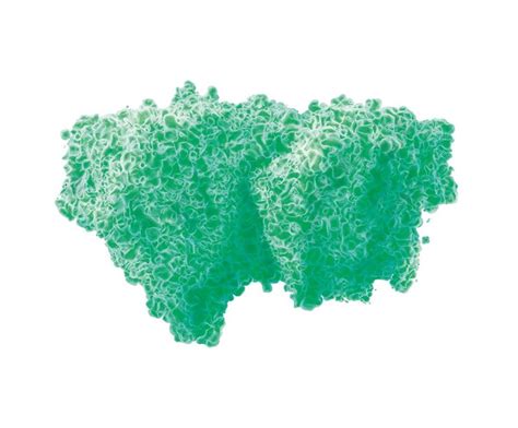 Prestigious Grant For Imaging Single Molecules Human Frontier Science Program Supports