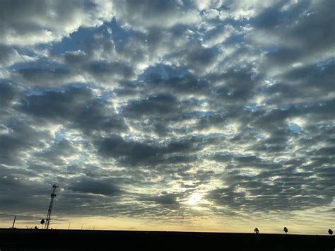 Natures Portraits ️ Scrolller