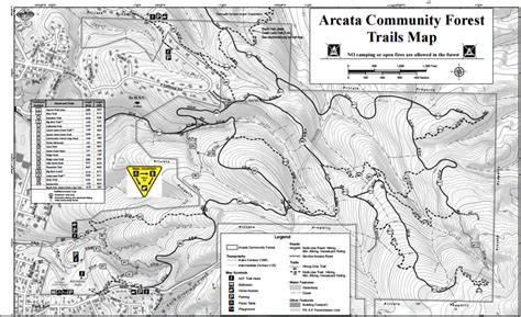 Exploring Arcata Community Forest Go Do Be