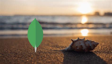 Mongodb Execute Javascript Files And Functions Using Command Line R