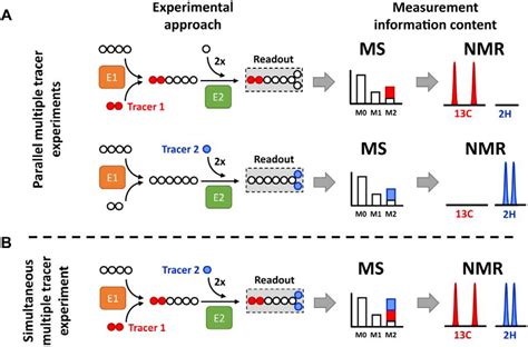 Simultaneous Tracers And A Unified Model Of Positional And Mass Isotopomers For Quantification