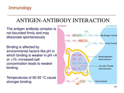 Ppt Immunology Powerpoint Presentation Free Download Id4285279
