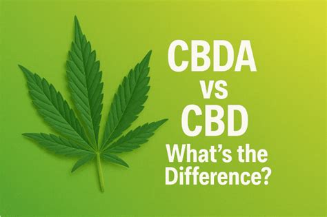 Cbda Vs Cbd Whats The Difference And Which One Should You Use