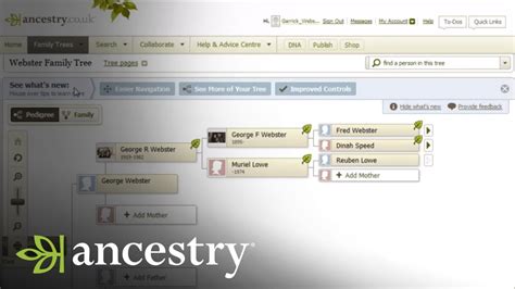 Top 10 Free Genealogy Websites For A Free Ancestry Search