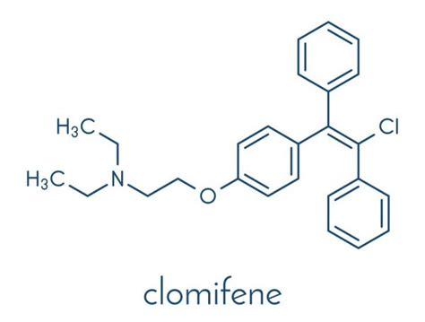 Clomiphene Citrate Clomid How Does It Work Dr Ryu Natural Medicine