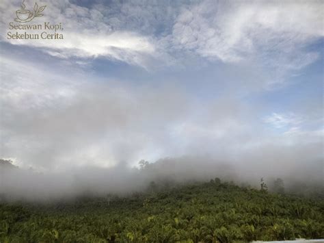 Awan Rendah Secawan Kopi Sekebun Cerita