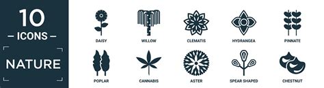 채워진 자연 아이콘 세트입니다 플랫 데이지 버드나무 클레마티스 수국 깃 모양 포플러 대마초 애 스터 창 모양 편집 가능한 형식의 밤나무 아이콘이 포함되어 있습니다 식물에