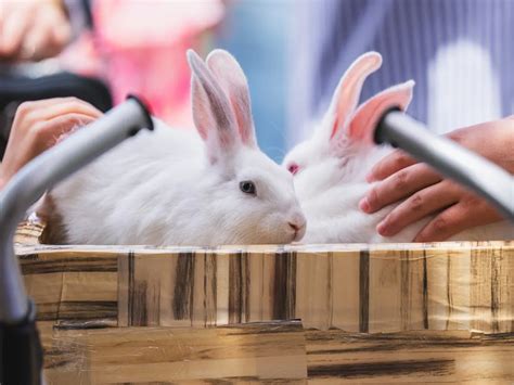 Use Your IPhone S Mail App To Schedule Emails That Auto Send At Specific Dates And Times