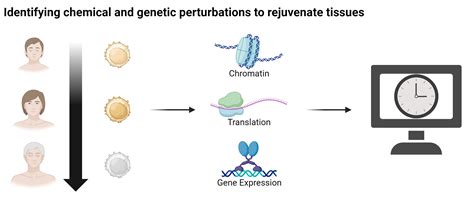 The Computational Biology Group