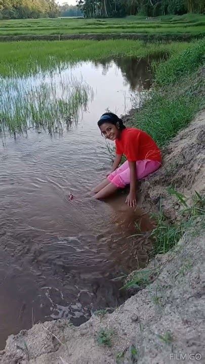 වෙල් යායක අසිරිය Youtube