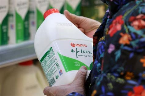 서울우유 흰 우유 편의점가 오른다 비요뜨는 28 인상