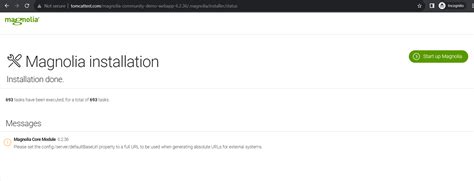 how to setup magnolia cms in tomcat webuzo