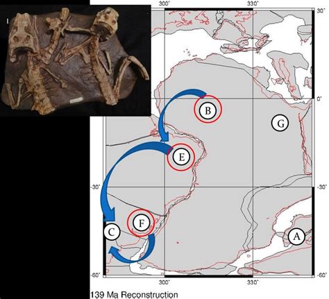 Consensus Bpabbms Diva General Area Cladogram With Node Ancestral