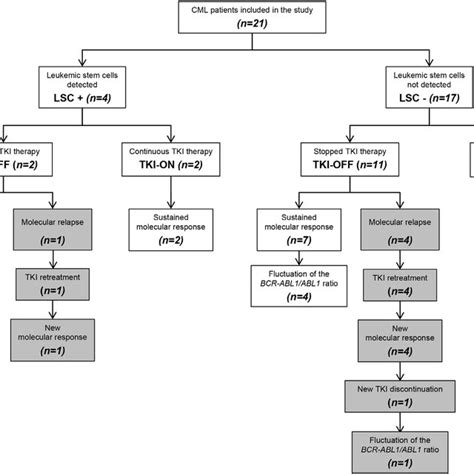 Molecular Recurrence And Sustained Molecular Response In Cml Patients Download Scientific