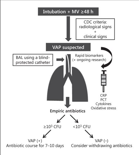 Table 1 From Ventilator Associated Pneumonia In Neonatal Patients An