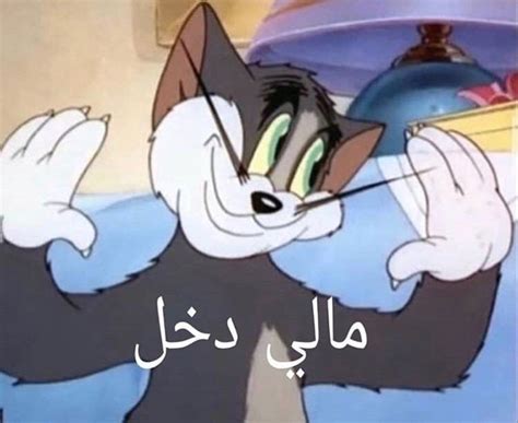 رياكشن توم Funny Cartoon Quotes Funny Photo Memes Dora Funny